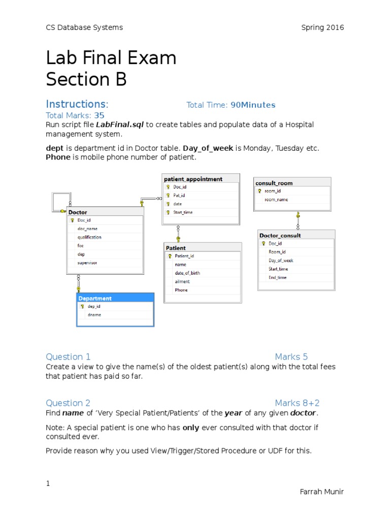 Lab Final Exam Section B: Instructions | PDF
