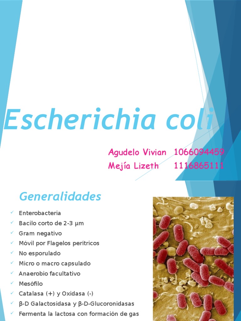 E Coli | PDF | Escherichia coli | Diarrea