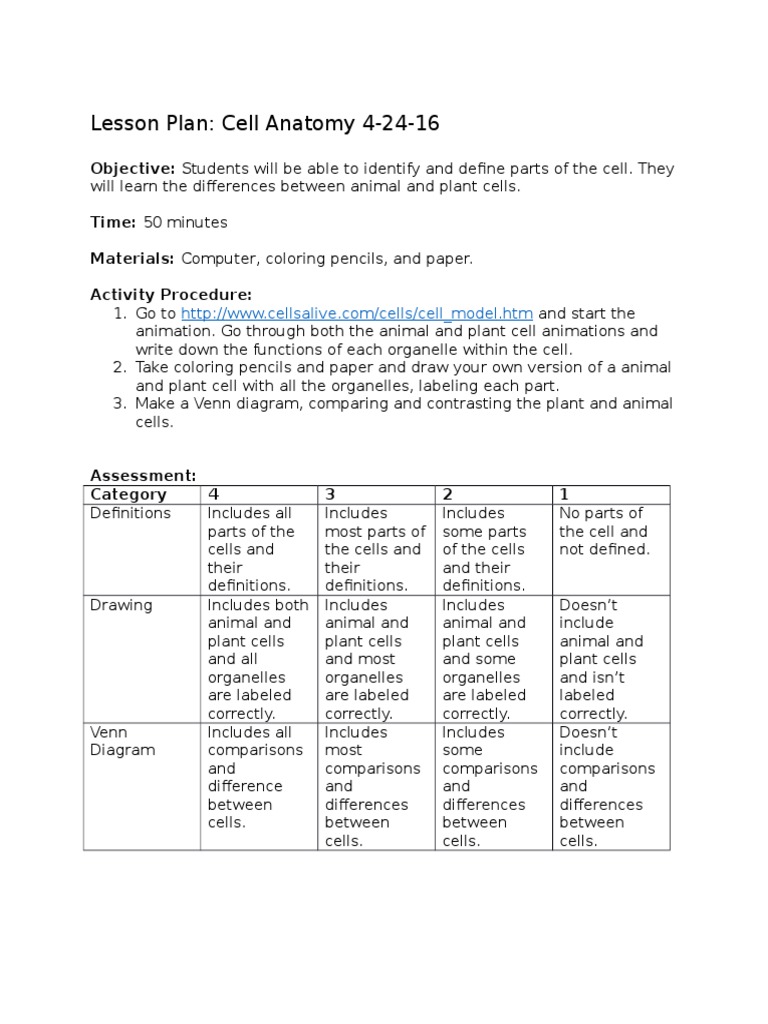 Cell Anatomy for Students | PDF | Science & Mathematics