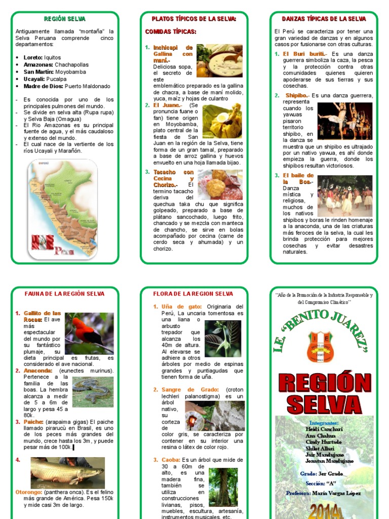 Triptico Region Selva 3[1]