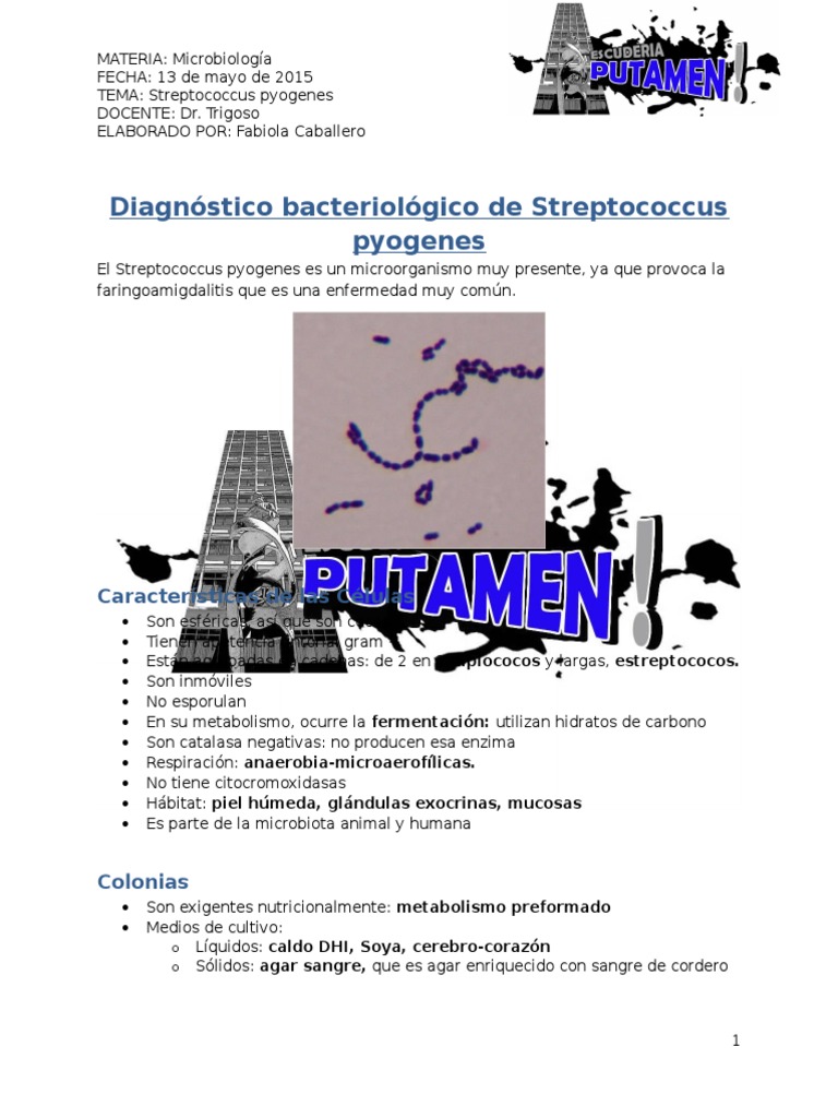 Diagnóstico y Tratamiento de Streptococcus pyogenes | PDF ...