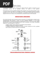 Diagrama de Posselt en Oclusión | PDF | Sistema musculoesquelético ...