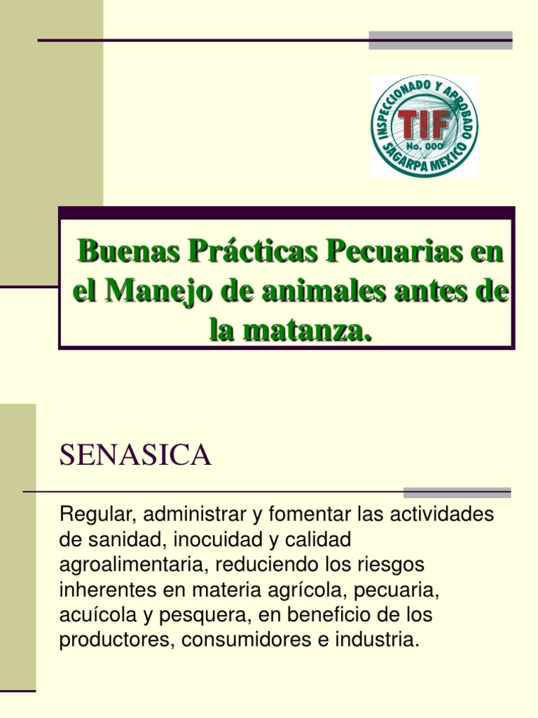 Buenas Prácticas Pecuarias en El Manejo de Animales UNIDAD II-2 | PDF | Carne | Residuos