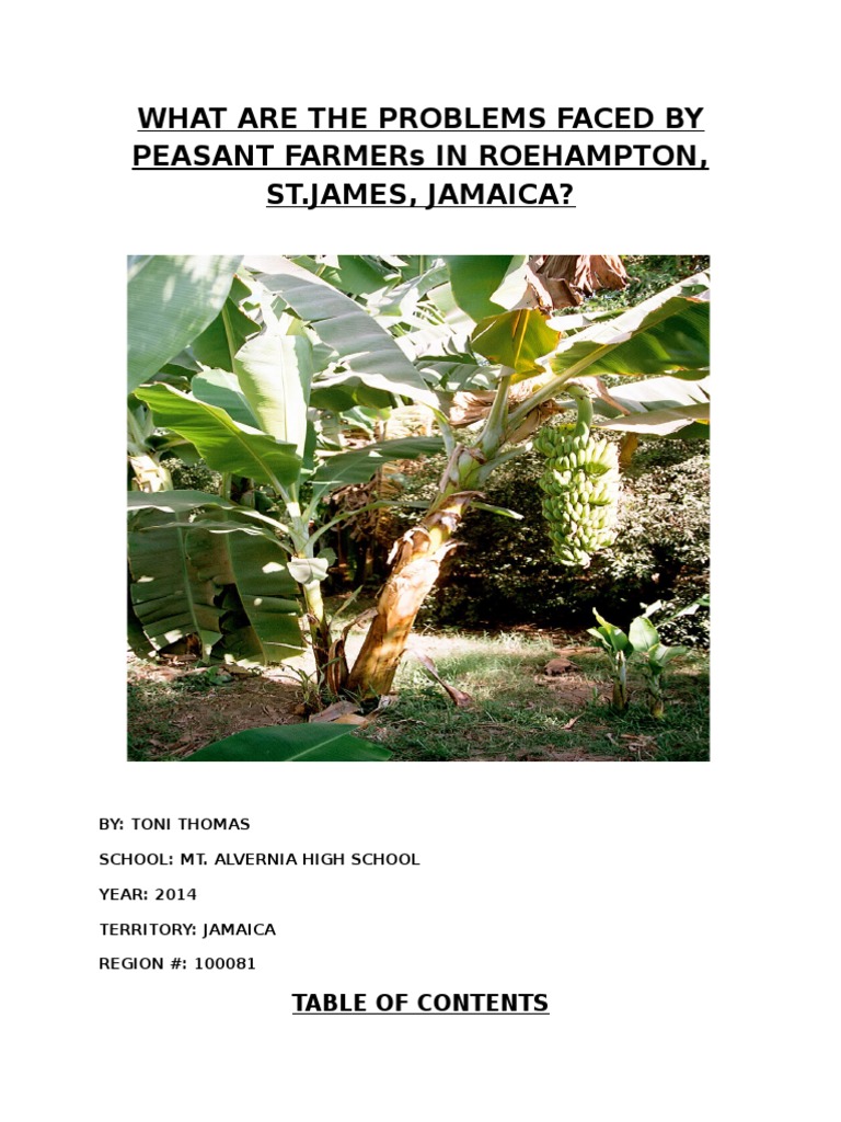 CSEC Geography SBA | PDF | Farmer | Farms