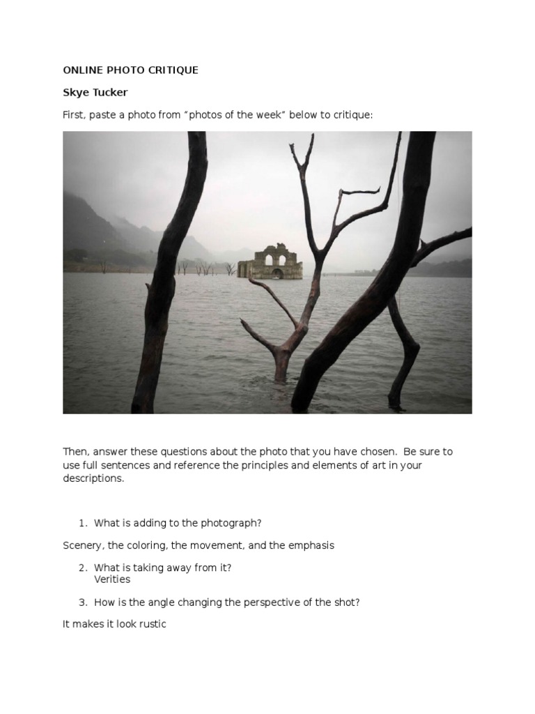 Online Photo Critique Guide | PDF | Home & Garden | Art