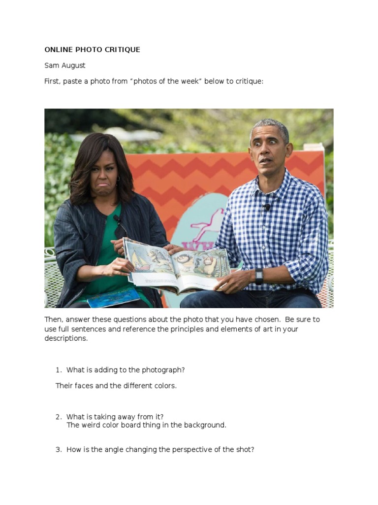 Photo Critique Guidelines and Insights | PDF