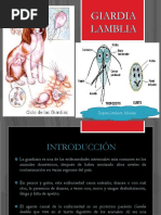 Función y Mecanismo de la Bomba de Calcio | PDF | Calcio | Membrana celular