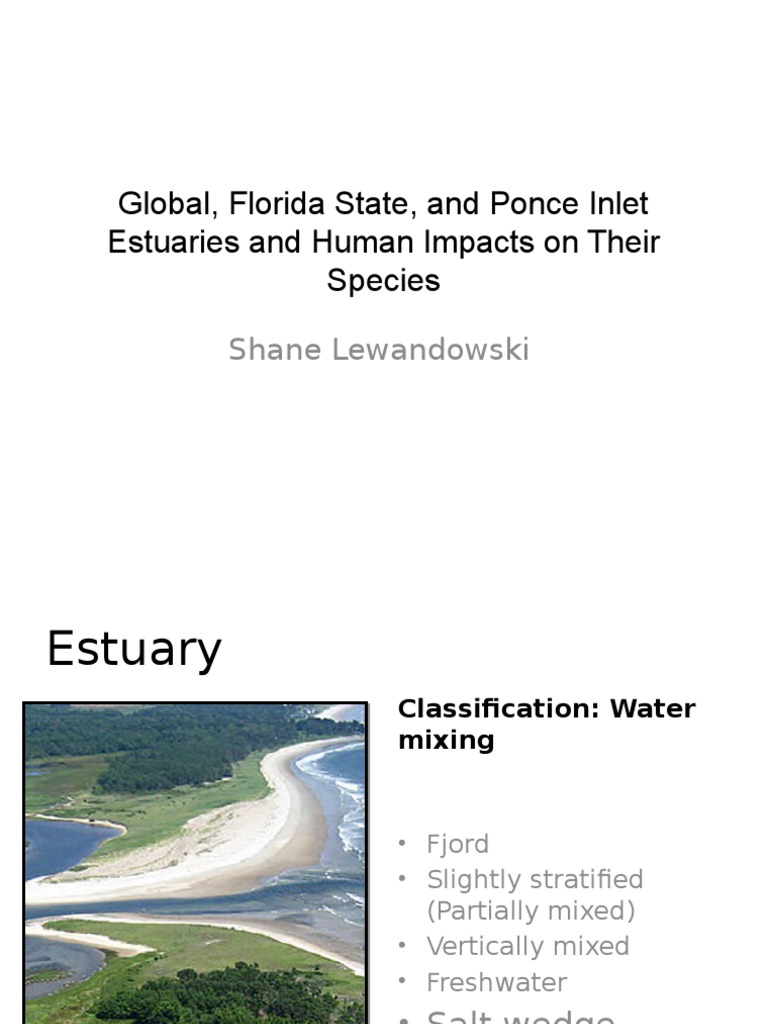 Estuaries and Human Impact in Florida | PDF