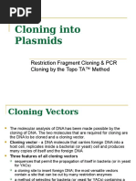 pET-28 A (+) - Addgene Vector Database (Plasmids, Expression Vectors ...