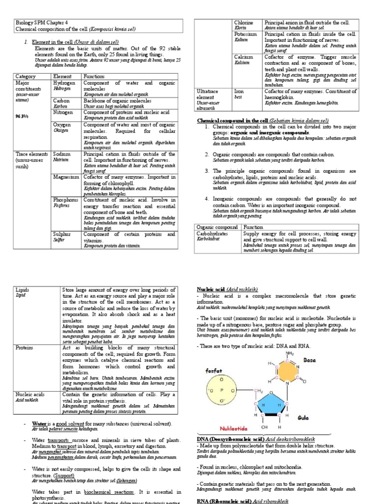 f4 Biology Chapter4 Bilingual | PDF | Carbohydrates | Enzyme