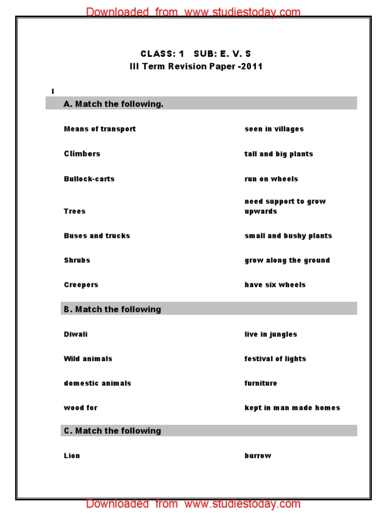 CBSE Class 1 EVS Assignment (2) - Revision Paper | PDF | Sky | Rainbow