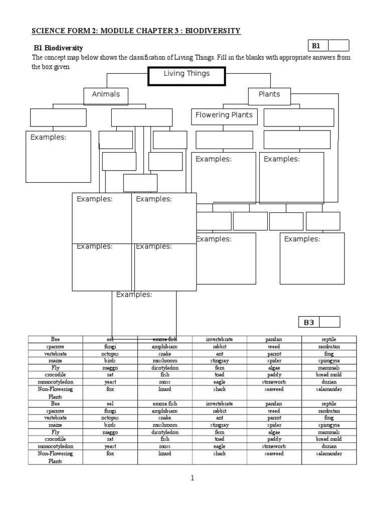 Emora Eel in Biodiversity Classification | PDF | Home & Garden | Wellness