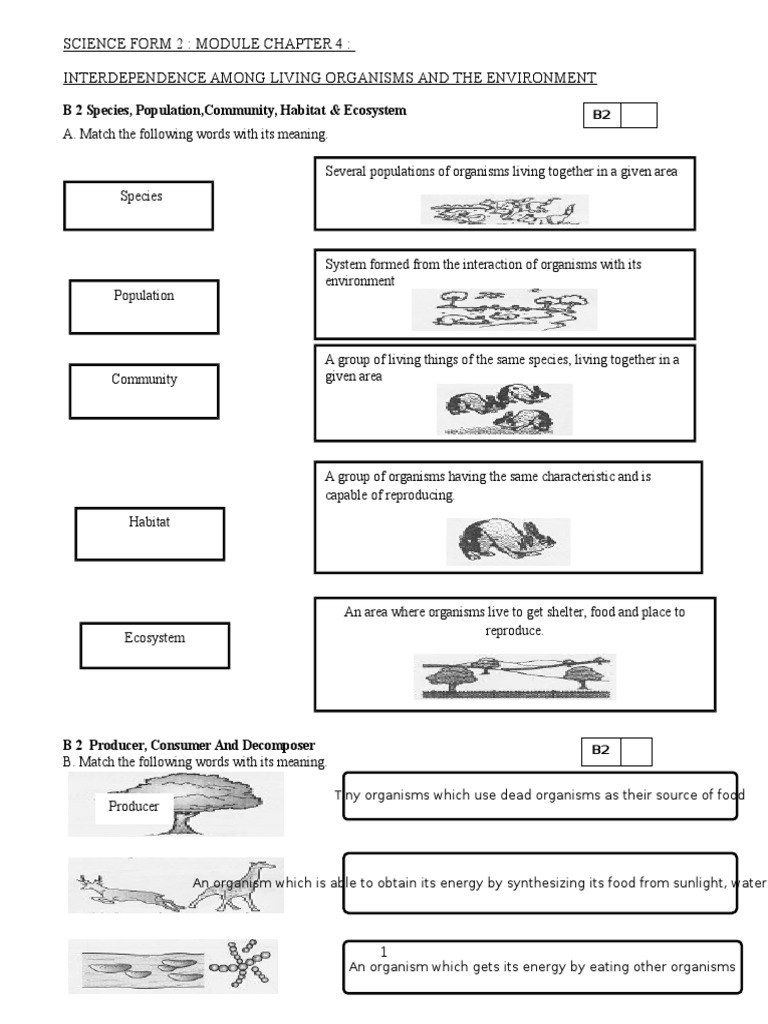 Chap 4 Science Form 2 | PDF | Predation | Ecosystem