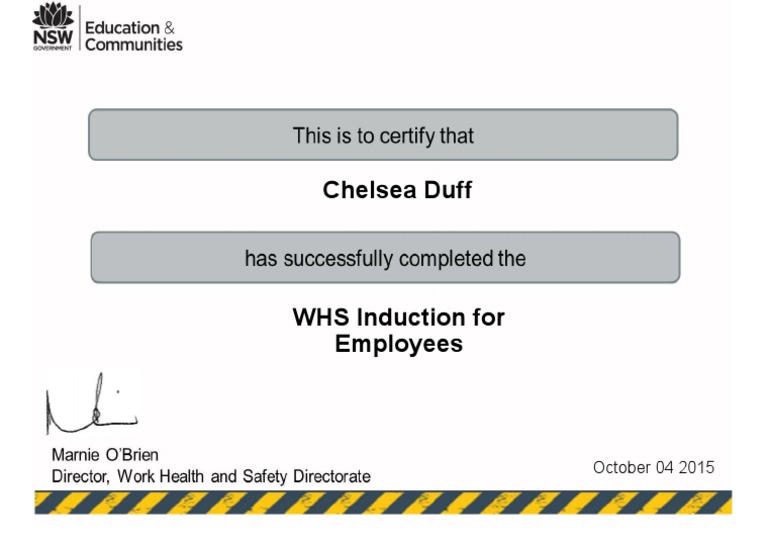 Duff Whs Induction | PDF