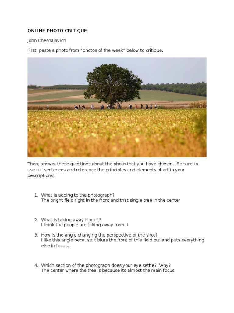 Online Photo Critique Guide | PDF