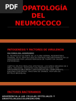 Ficha Técnica Quantrel | PDF | Medicamentos con receta | El embarazo