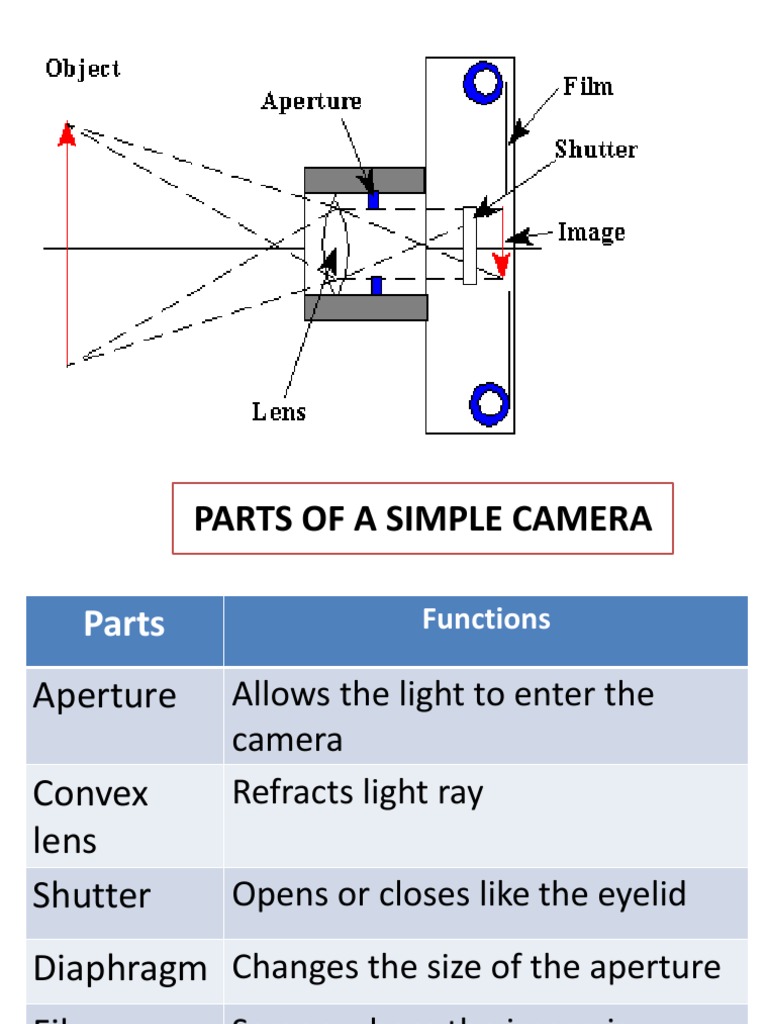 Common Eye Defects | PDF