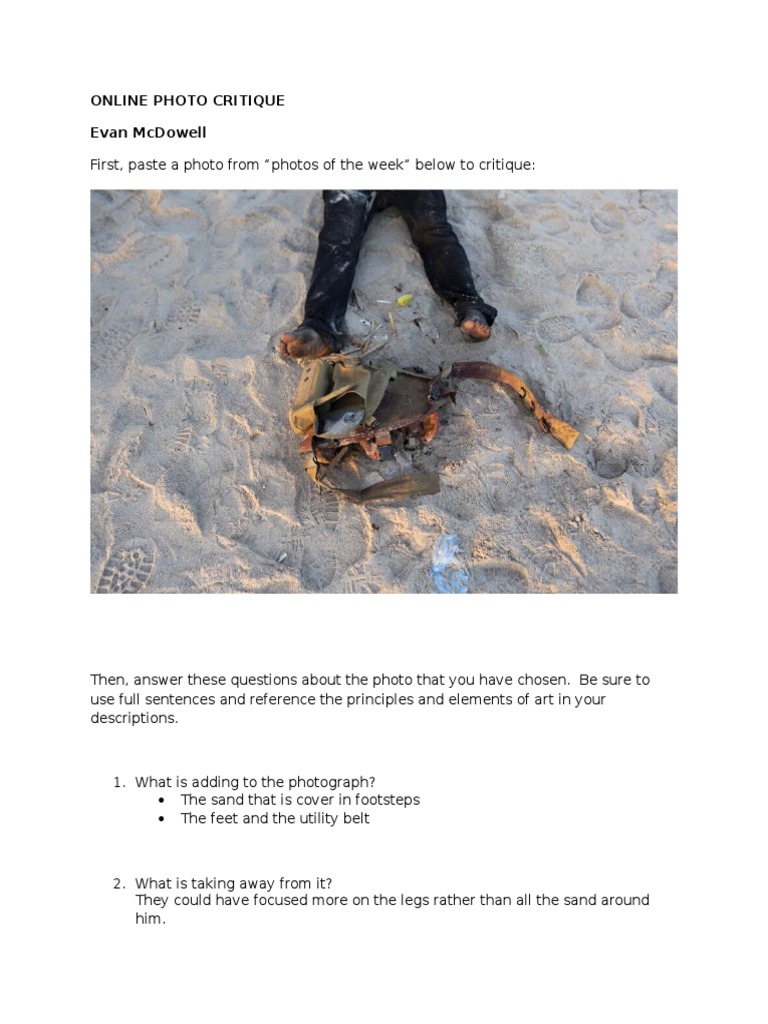 Online Photo Critique Guide | PDF