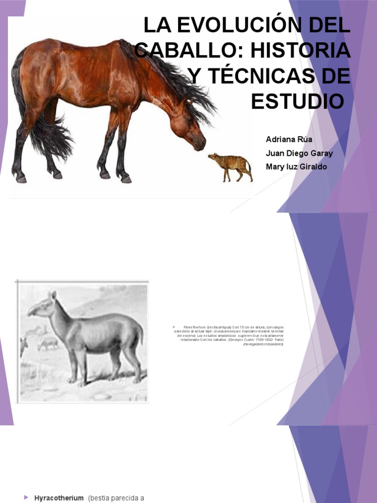 Evolucion Del Caballo | PDF