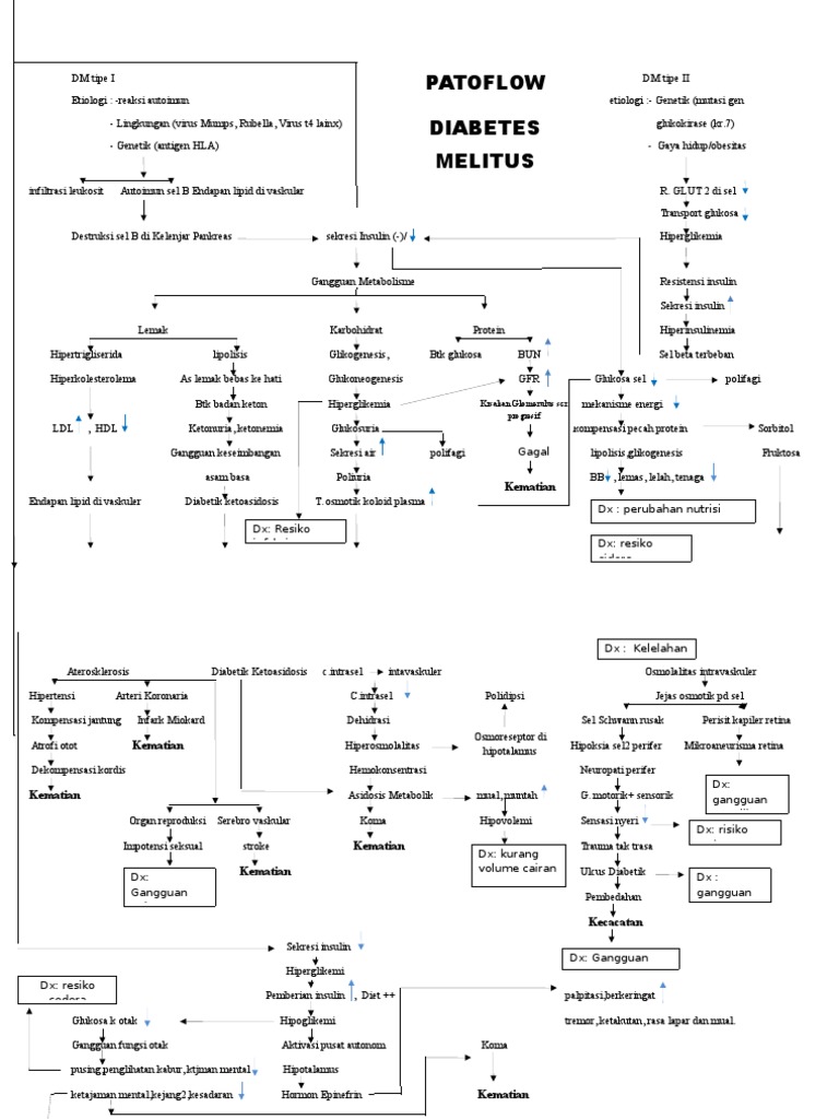 Pathway DM | PDF | Endocrinology | Disorders Of Endocrine Pancreas