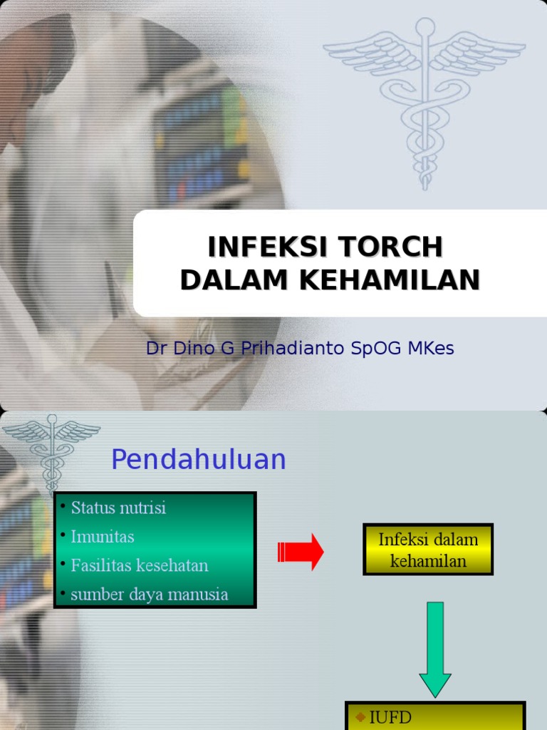 Infeksi Torch | PDF