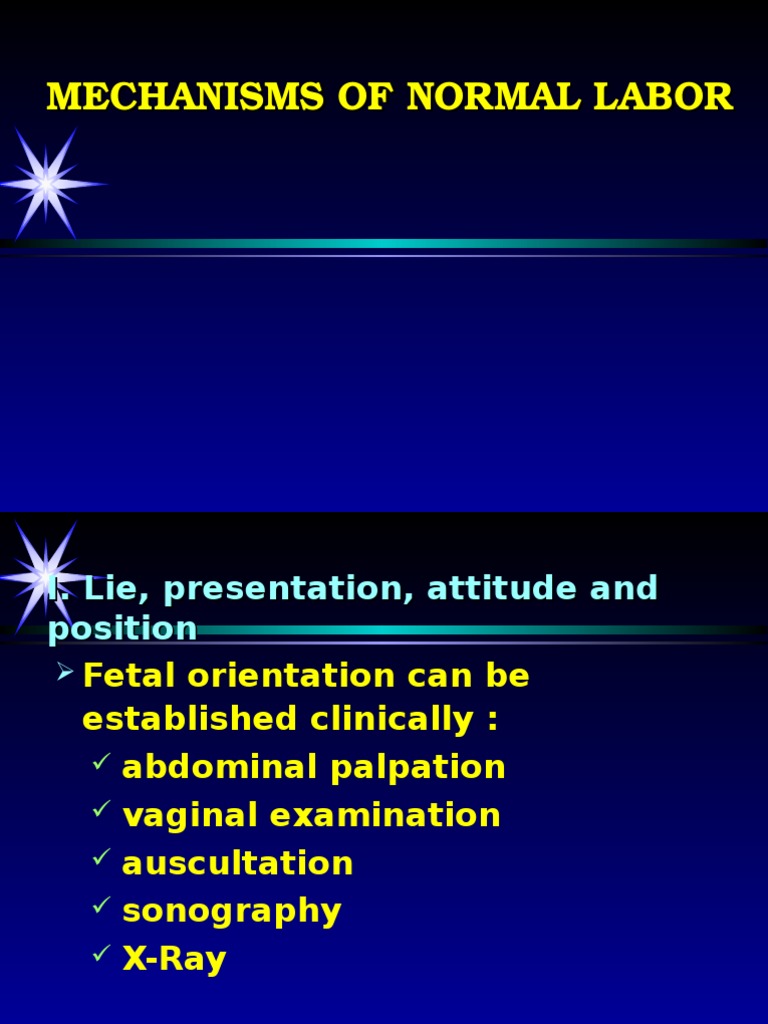 Mechanisms of Vertex Labor | PDF | Pelvis | Musculoskeletal System