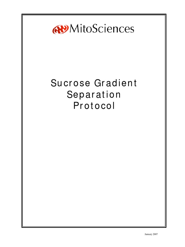 Sucrose Gradient Separation Protocol | PDF | Centrifugation | Western Blot