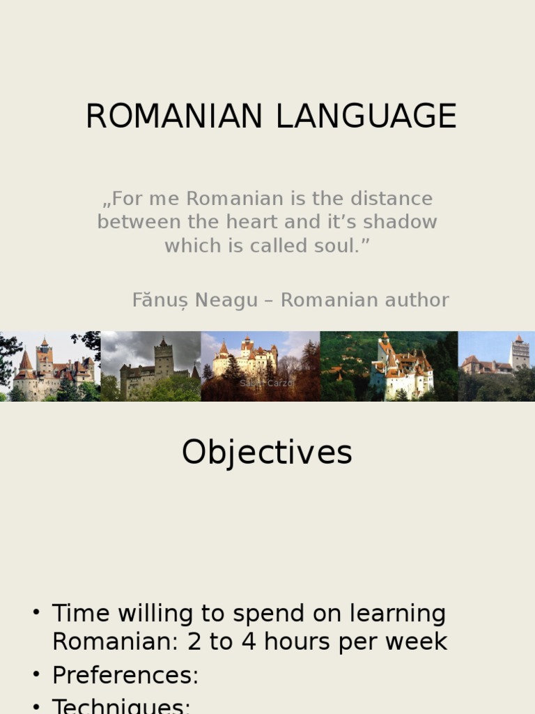 Romanian Language L1 - Sabin Carzol | PDF | Grammatical Gender ...