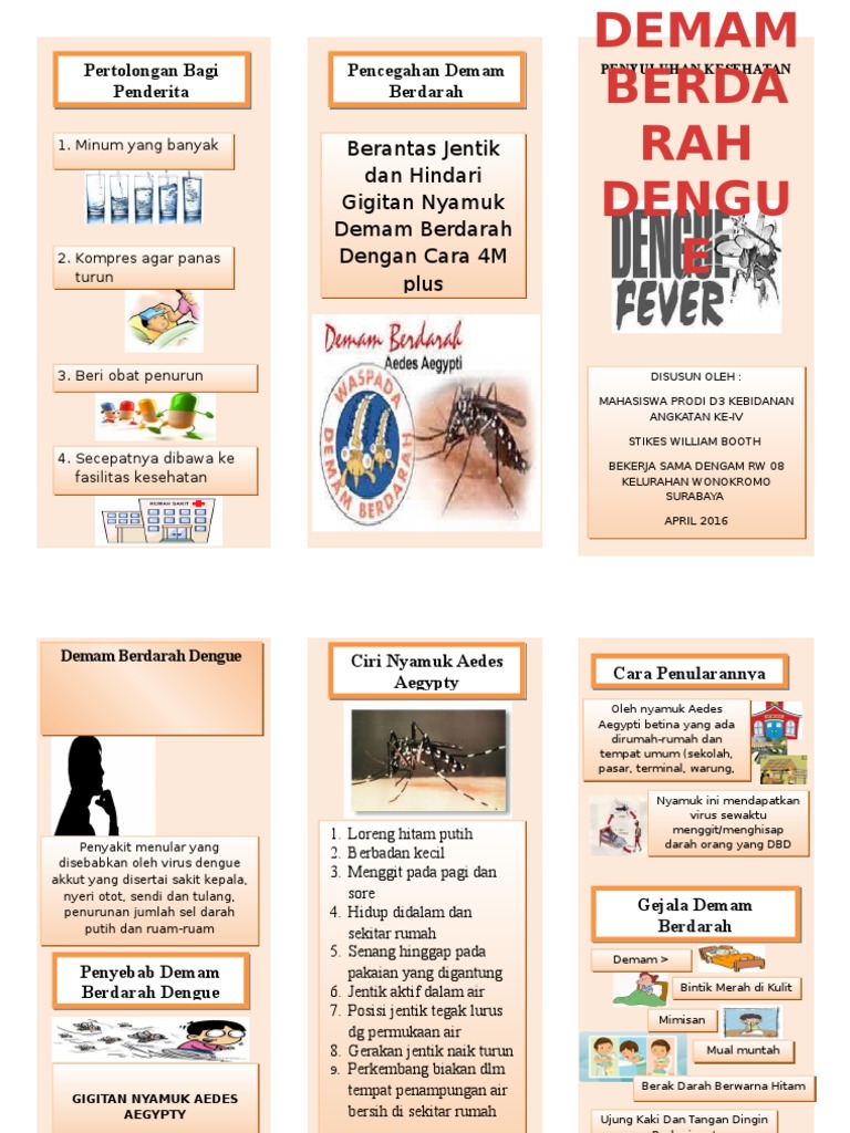 Leaflet DBD | PDF