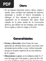 Partes de la Salpinge y Anatomía Asociada | PDF | Ovario | Pelvis