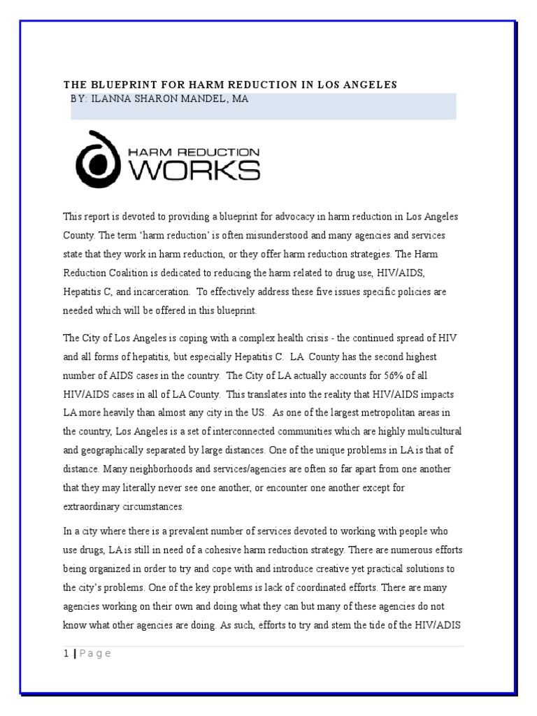Harm Reduction Blueprint for LA | PDF | Hiv/Aids | Hepatitis C