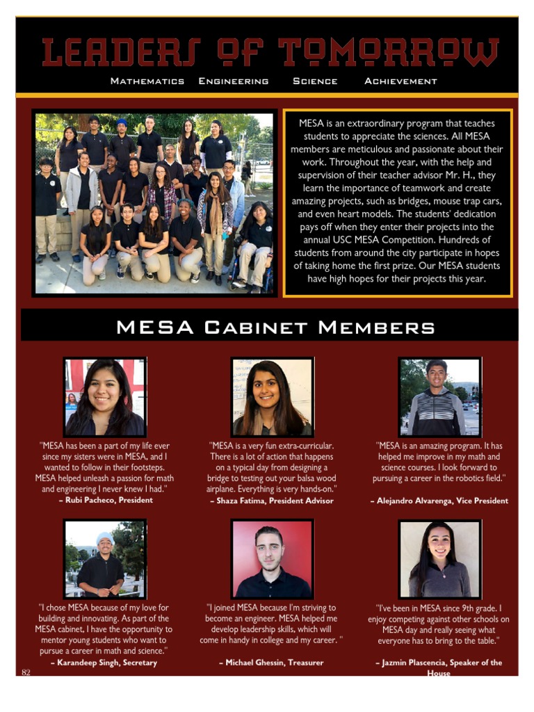MESA Cabinet Members' Insights on STEM | PDF