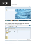 Solped Sap | PDF | Informática | Software