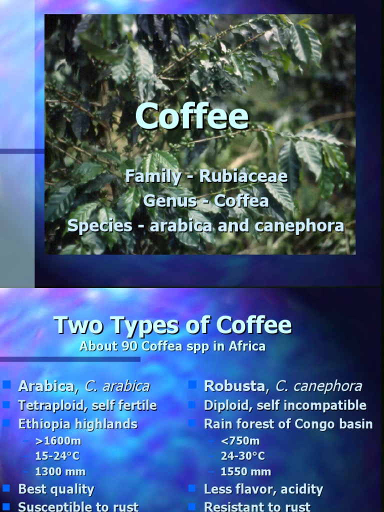 2 4coffee | PDF | Coffee | Botany