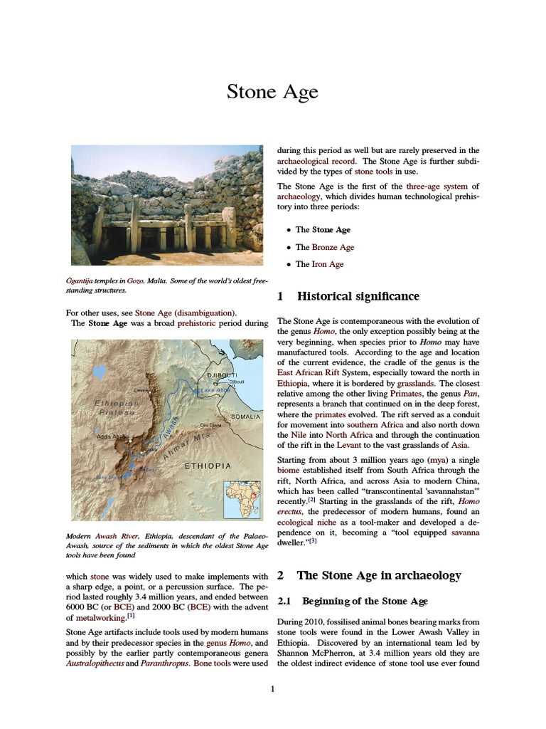 Stone Age | PDF | Stone Age | Paleolithic