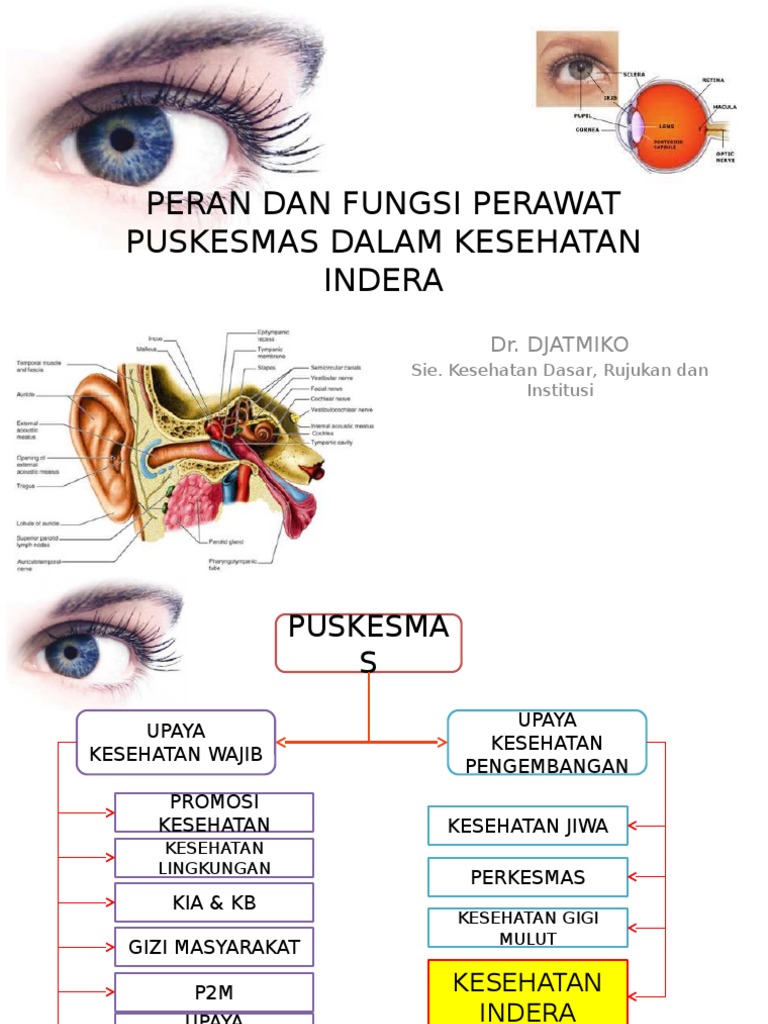 Peran Dan Fungsi Perawat Puskesmas Dalam Kesehatan Indera | PDF | Kesehatan Holistik