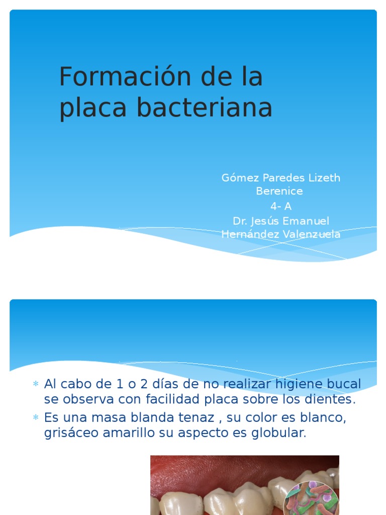 Formación de La Placa Bacteriana | PDF | Las bacterias | Diente