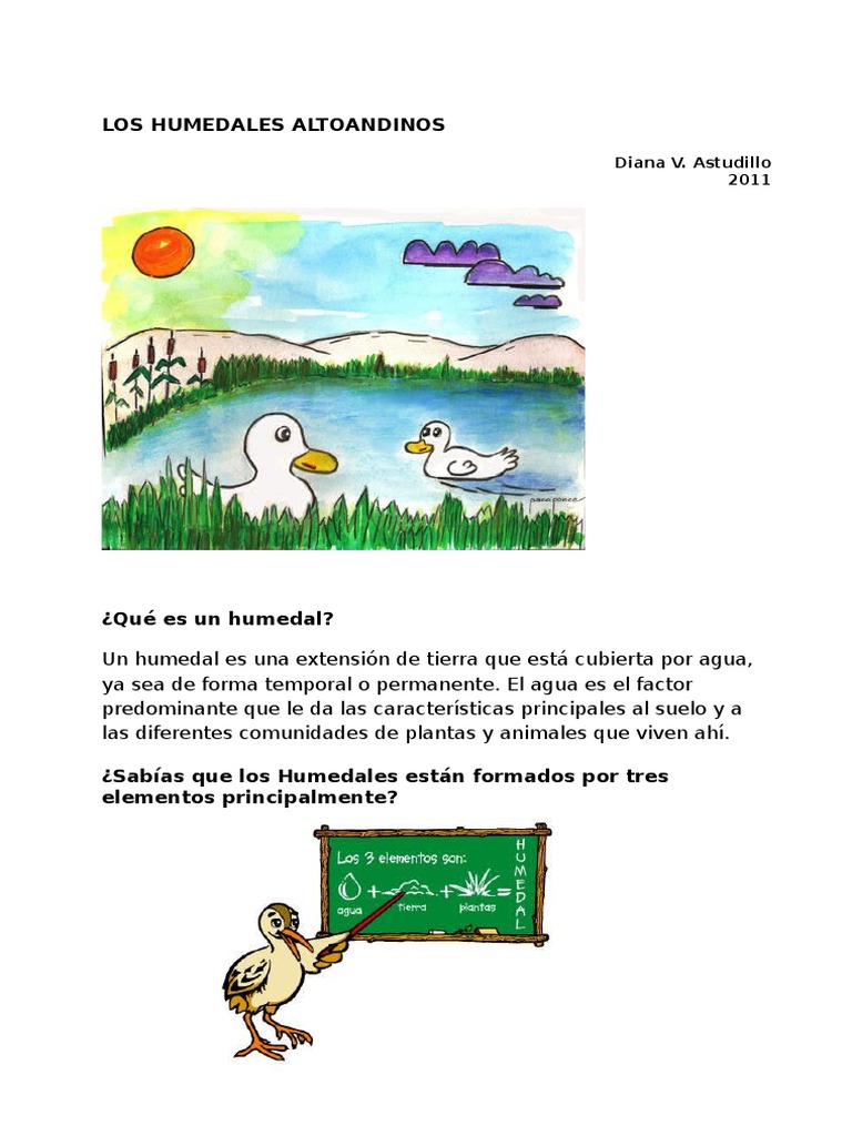 Humedales para Niños | PDF | Osos | Humedal