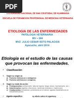 PIOTÓRAX | PDF | Medicina | Inmunología