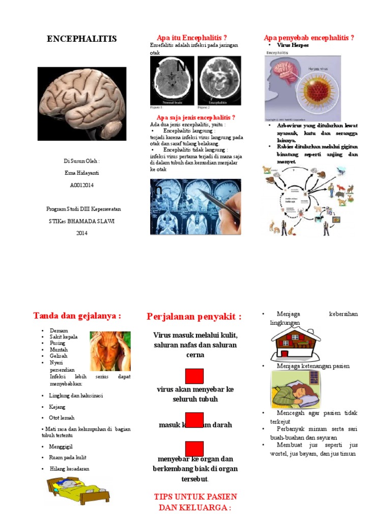 Leaflet Encephalitis | PDF