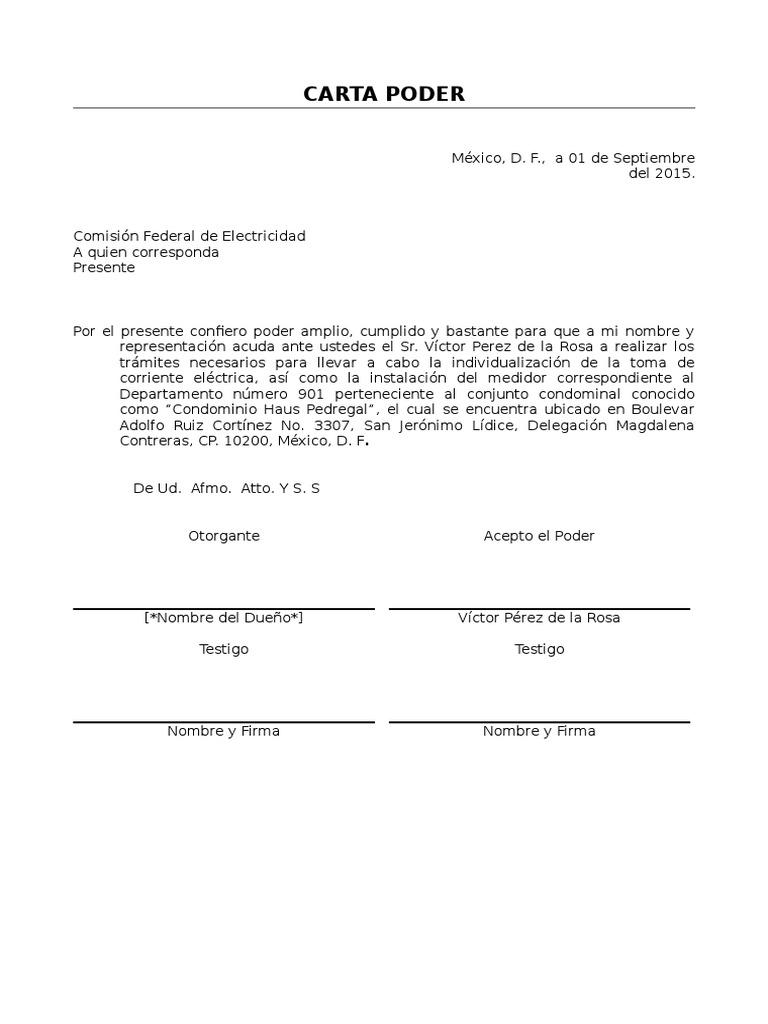 Carta Poder para CFE: Ejemplo y Uso | PDF | Política