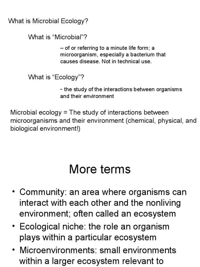 Understanding Microbial Ecology Basics | PDF | Nitrate | Microorganism