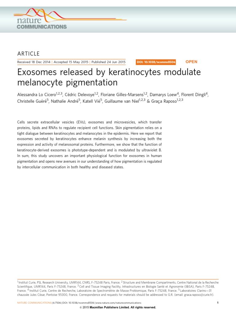 Exosomes Pigmentation | PDF | Human Skin Color | Epidermis