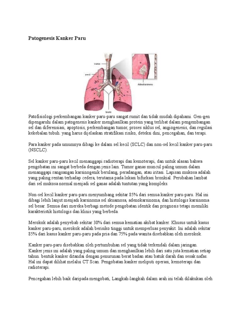 Patogenesis Kanker Paru | PDF