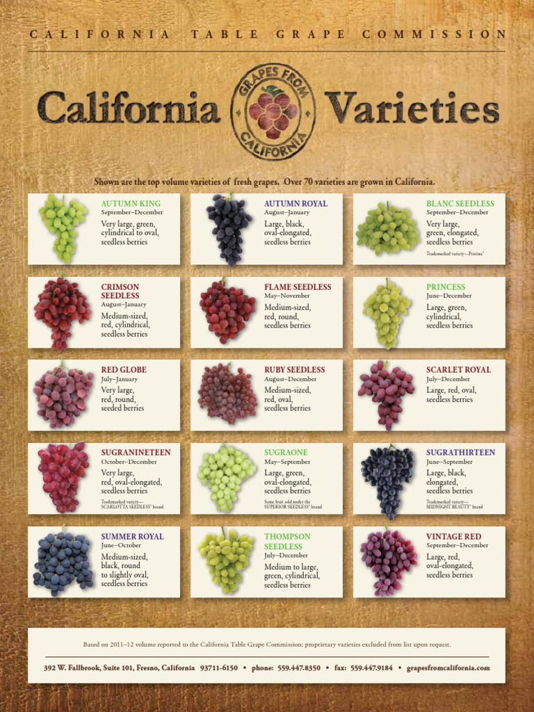 Variety Chart Training Guide English | PDF | Berry | Grape