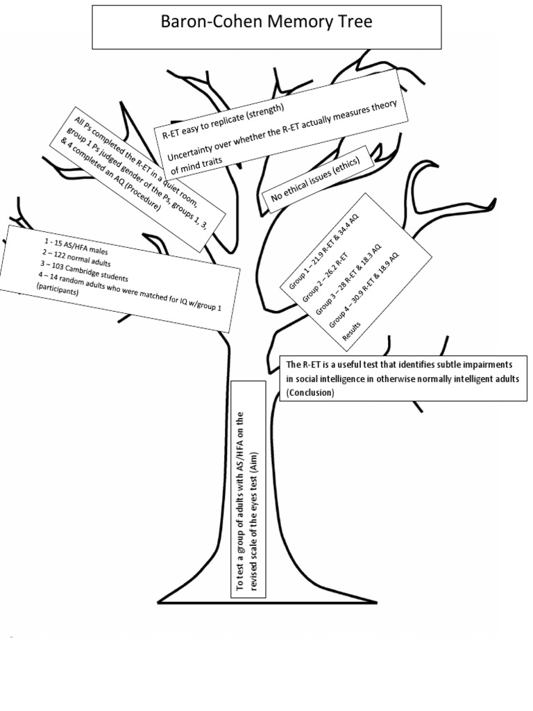 Baron-Cohen Study | PDF