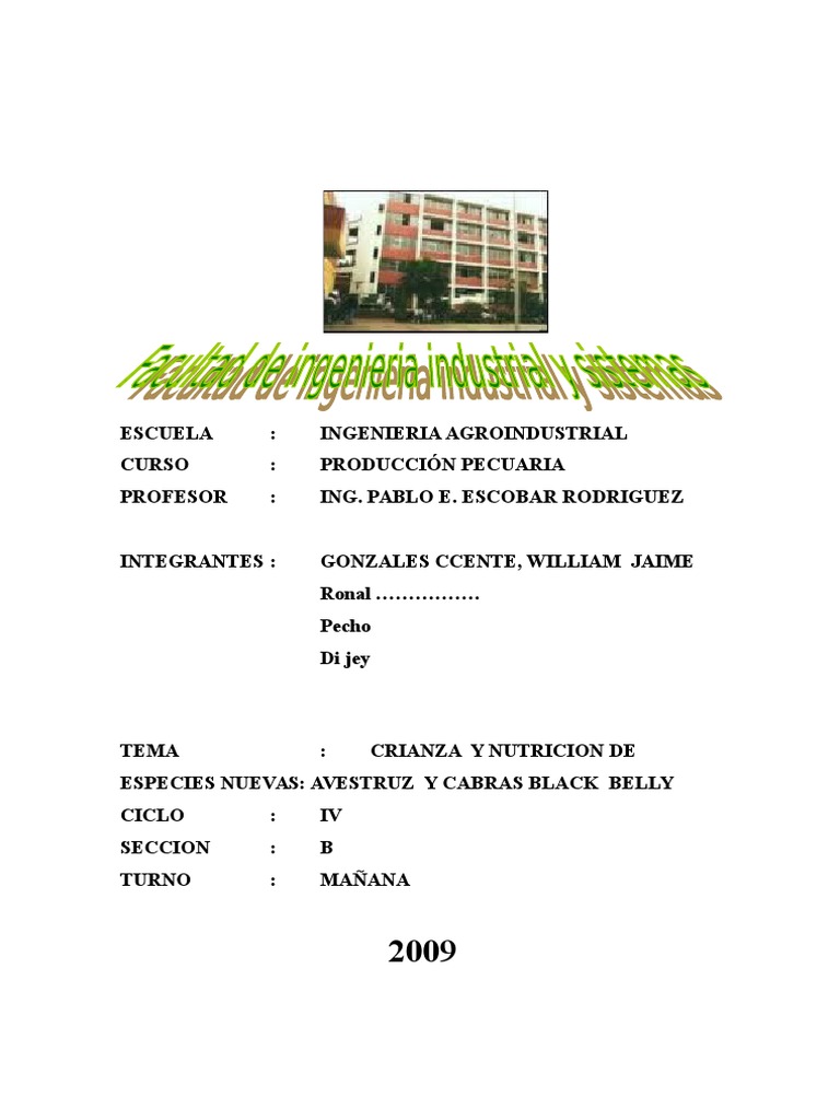 Ovejas Black Belly | PDF | Oveja | Agua