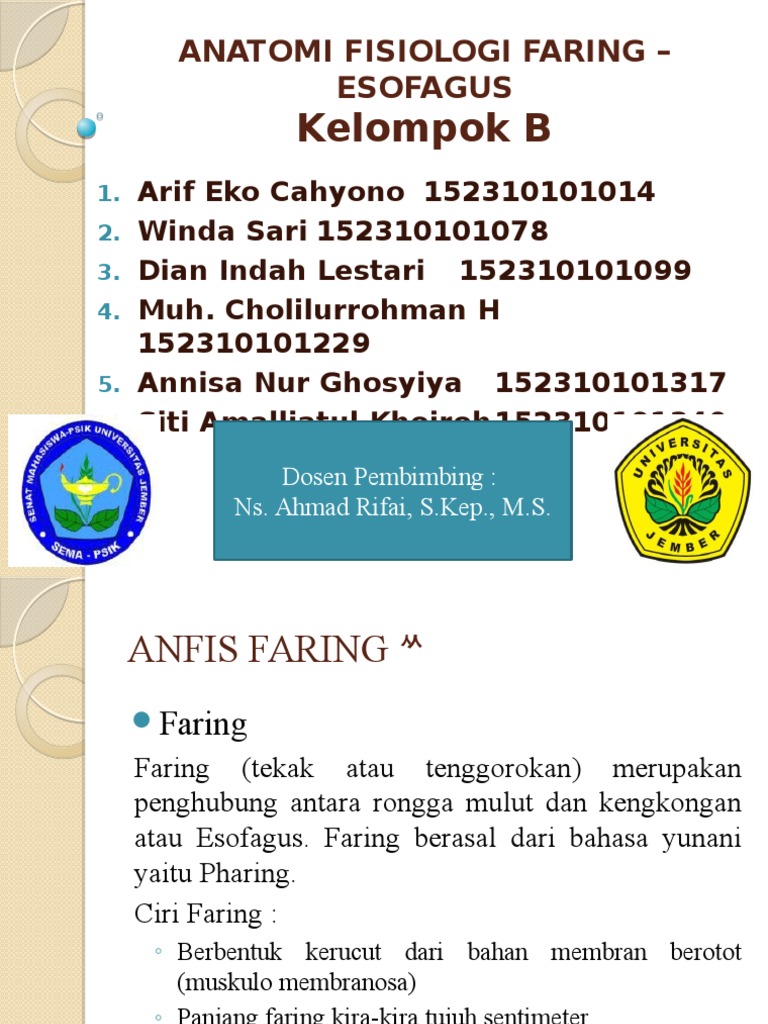 Anatomi Faring dan Esofagus | PDF