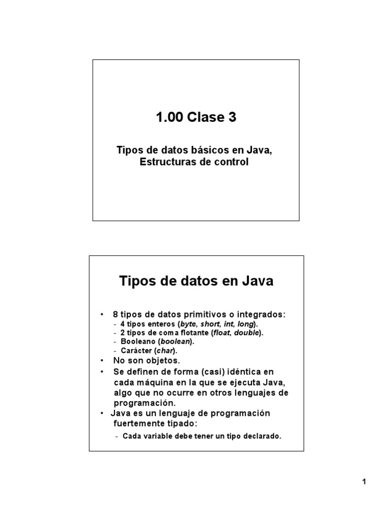 Tipos de Datos en Java | Descargar gratis PDF | Tipo de datos | Java (lenguaje de programación)