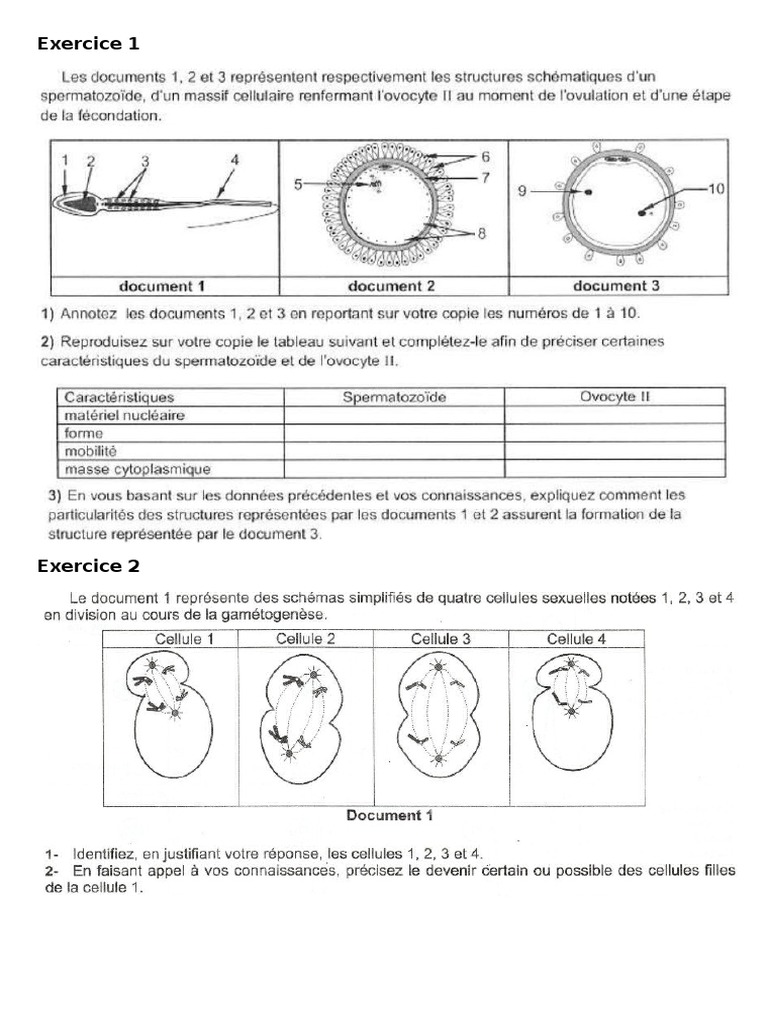 Sujets Bac Reproduction | PDF